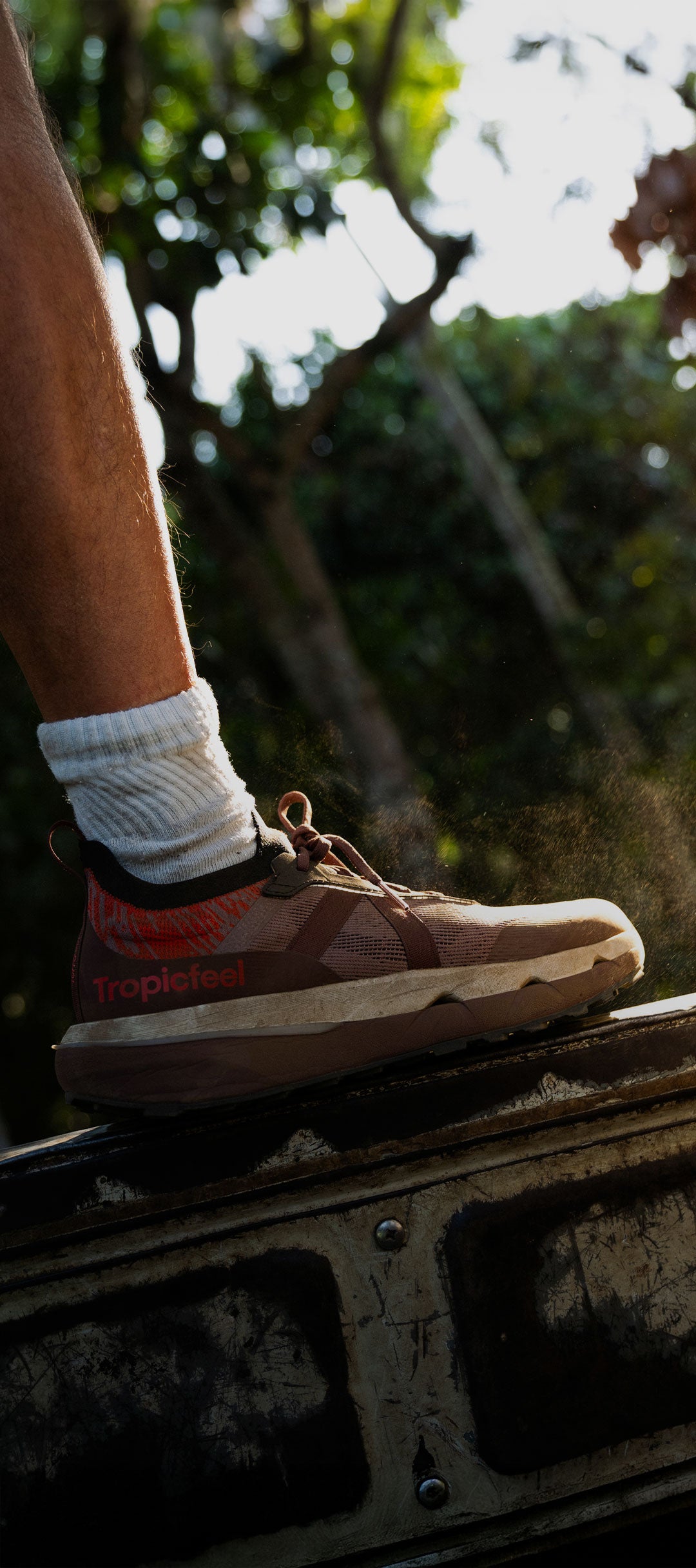 SEE™ Front Cube – Versatile & Sleek Organizer | Tropicfeel